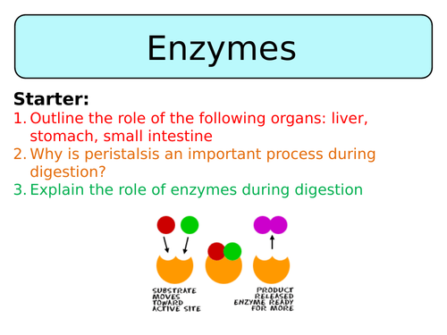 B3.4 Catalysts and enzymes | Teaching Resources
