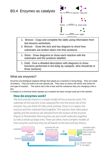 B3.4 Catalysts and enzymes | Teaching Resources