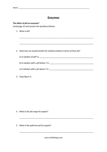 B3.5 Factors affecting enzyme action | Teaching Resources