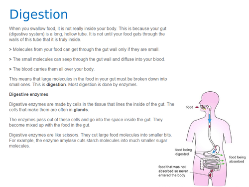 B3.6 How the digestive system works | Teaching Resources