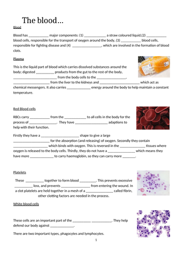 B4.1 The blood | Teaching Resources