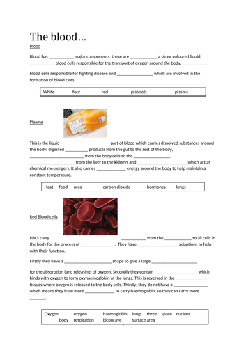 B4.1 The blood | Teaching Resources