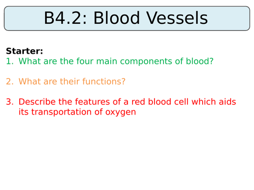 B4.2 The blood vessels | Teaching Resources