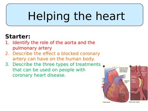 B4.4 Helping the heart | Teaching Resources
