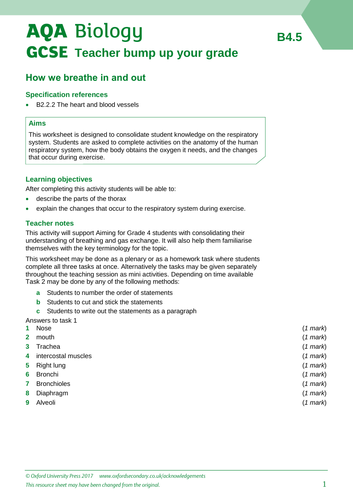 B4.5 Breathing and gas exchange | Teaching Resources