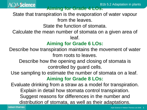 B4.8 Evaporation and transpiration | Teaching Resources