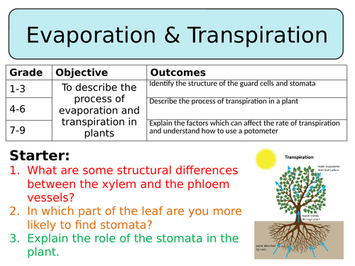 B4.8 Evaporation and transpiration | Teaching Resources