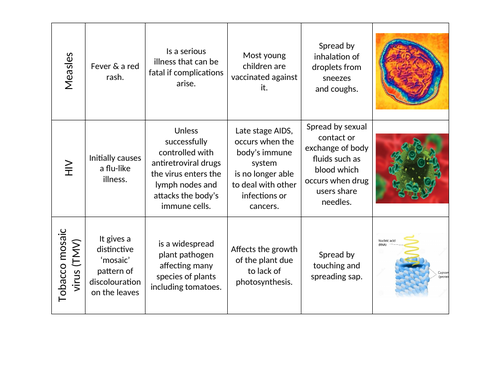 B5.6 Viral diseases | Teaching Resources