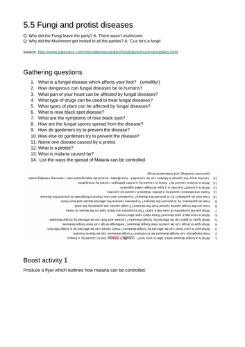 B5.8 Diseases caused by fungi and protists | Teaching Resources