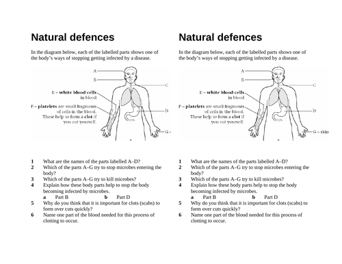 B5.9 Human defence responses | Teaching Resources