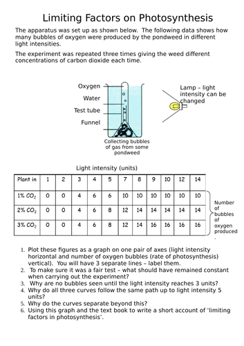 B8.2 The rate of photosynthesis | Teaching Resources