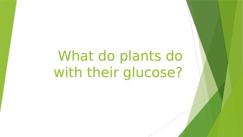 B8.3 How plants use glucose | Teaching Resources