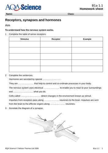 B10.1 Principles of homeostasis | Teaching Resources