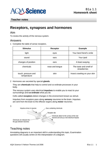 B10.1 Principles of homeostasis | Teaching Resources