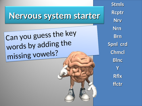 B10.2 The structure and function of the human nervous system | Teaching ...