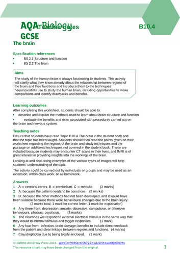 B10.4 The brain | Teaching Resources