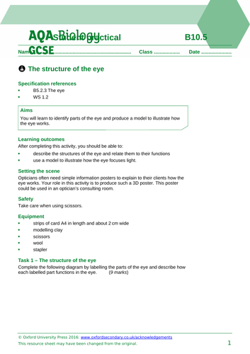 B10.5 The eye | Teaching Resources