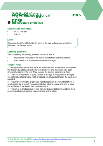 B10.5 The eye | Teaching Resources