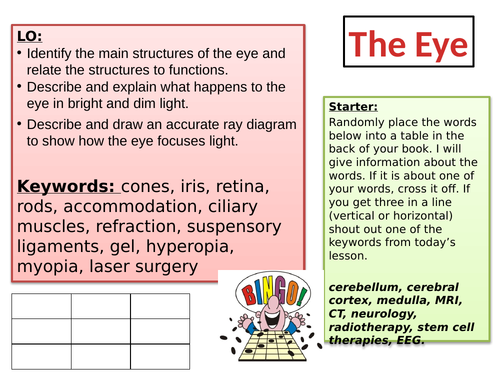B10.5 The eye | Teaching Resources