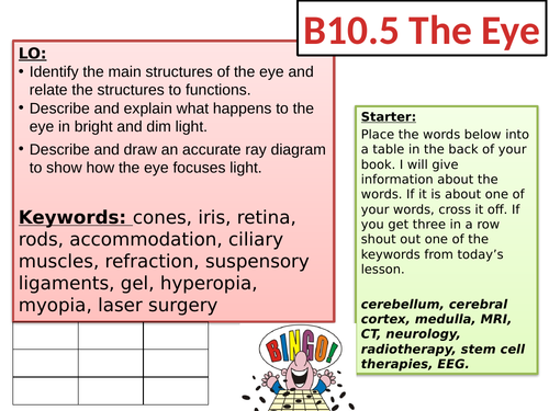 B10.6 Common problems of the eye | Teaching Resources