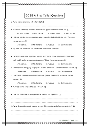 GCSE Biology - Animal Cells Practice Questions | Teaching Resources