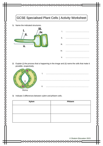AQA GCSE Cell Biology: 46 Activity + Practice Question Worksheets ...