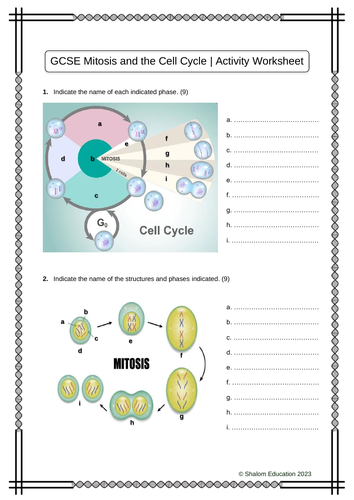 AQA GCSE Cell Biology: 46 Activity + Practice Question Worksheets ...