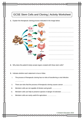 AQA GCSE Cell Biology: 46 Activity + Practice Question Worksheets ...
