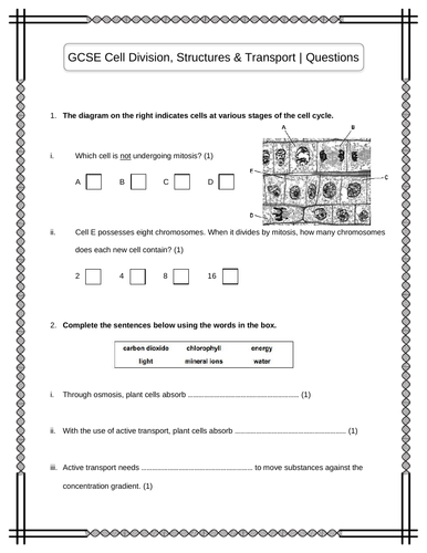 AQA GCSE Cell Biology: 46 Activity + Practice Question Worksheets ...