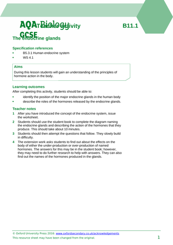 B11.1 Principles of hormonal control | Teaching Resources