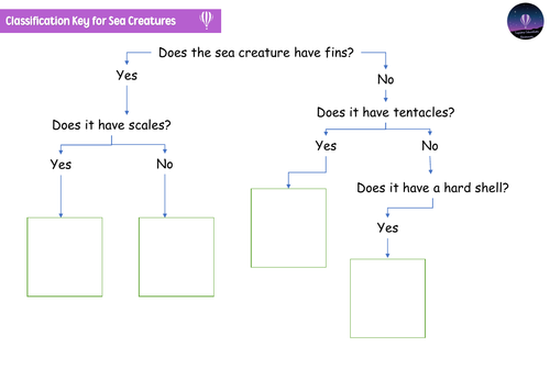 Vertebrates and Invertebrates - Outstanding KS2 Science Lesson ...