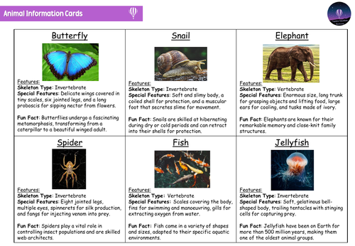 Vertebrates and Invertebrates - Outstanding KS2 Science Lesson ...