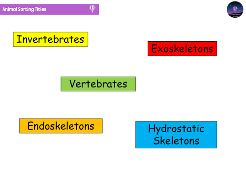Vertebrates and Invertebrates - Outstanding KS2 Science Lesson ...