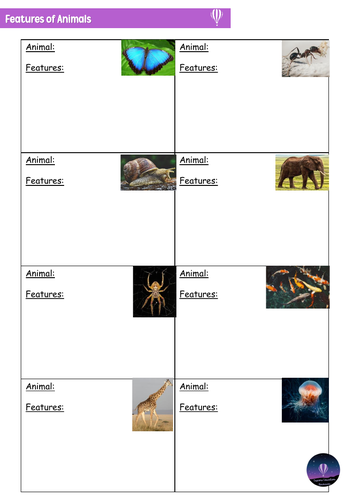 Vertebrates and Invertebrates - Outstanding KS2 Science Lesson ...