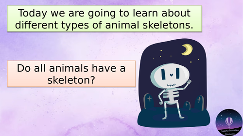 Vertebrates and Invertebrates - Outstanding KS2 Science Lesson ...