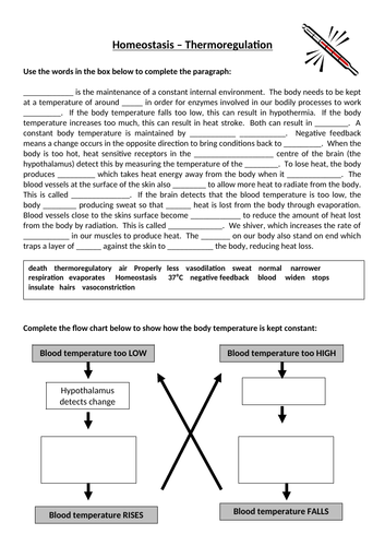 B12.1 Controlling body temperature | Teaching Resources
