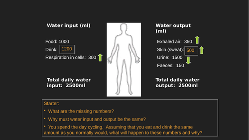 B12.2 Removing body waste | Teaching Resources