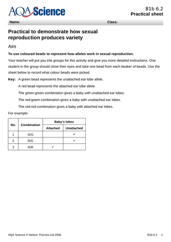B13.1 Types of reproduction | Teaching Resources