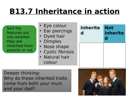 B13.7 Inheritance in action | Teaching Resources