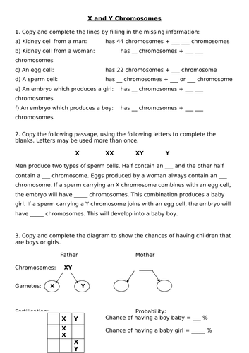 B13.8 More about genetics | Teaching Resources