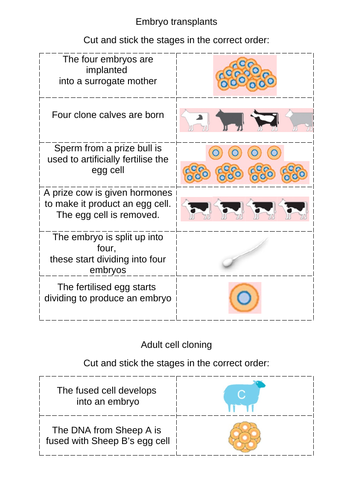 B14.5 Cloning | Teaching Resources
