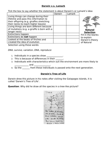 B15.2 Theories of evolution | Teaching Resources