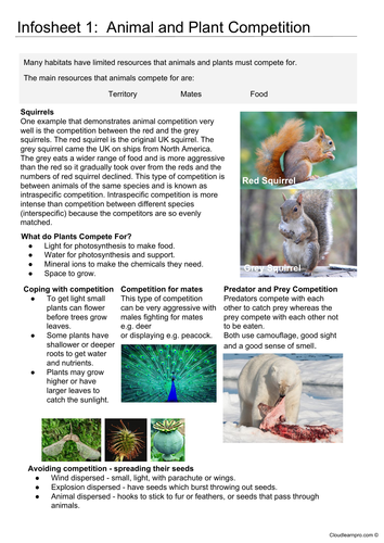 B16.5 Competition in plants | Teaching Resources