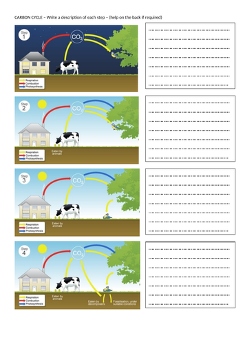 B17.3 The carbon cycle | Teaching Resources