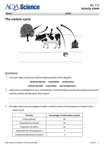B17.3 The carbon cycle | Teaching Resources