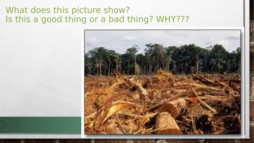 B18.4 Deforestation and peat destruction | Teaching Resources