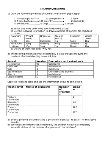 B18.8 Trophic levels and biomass | Teaching Resources