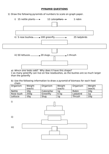 B18.8 Trophic levels and biomass | Teaching Resources