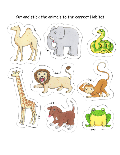 Dear Zoo Literacy pack | Teaching Resources