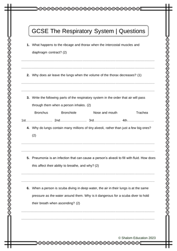GCSE Biology - The Respiratory System Practice Questions | Teaching ...